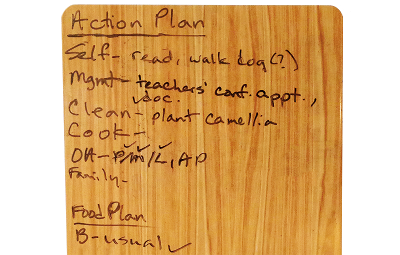 Write, Camera - Action! - Lifeline