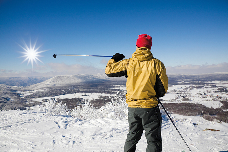 Cold Comfort - Lifeline