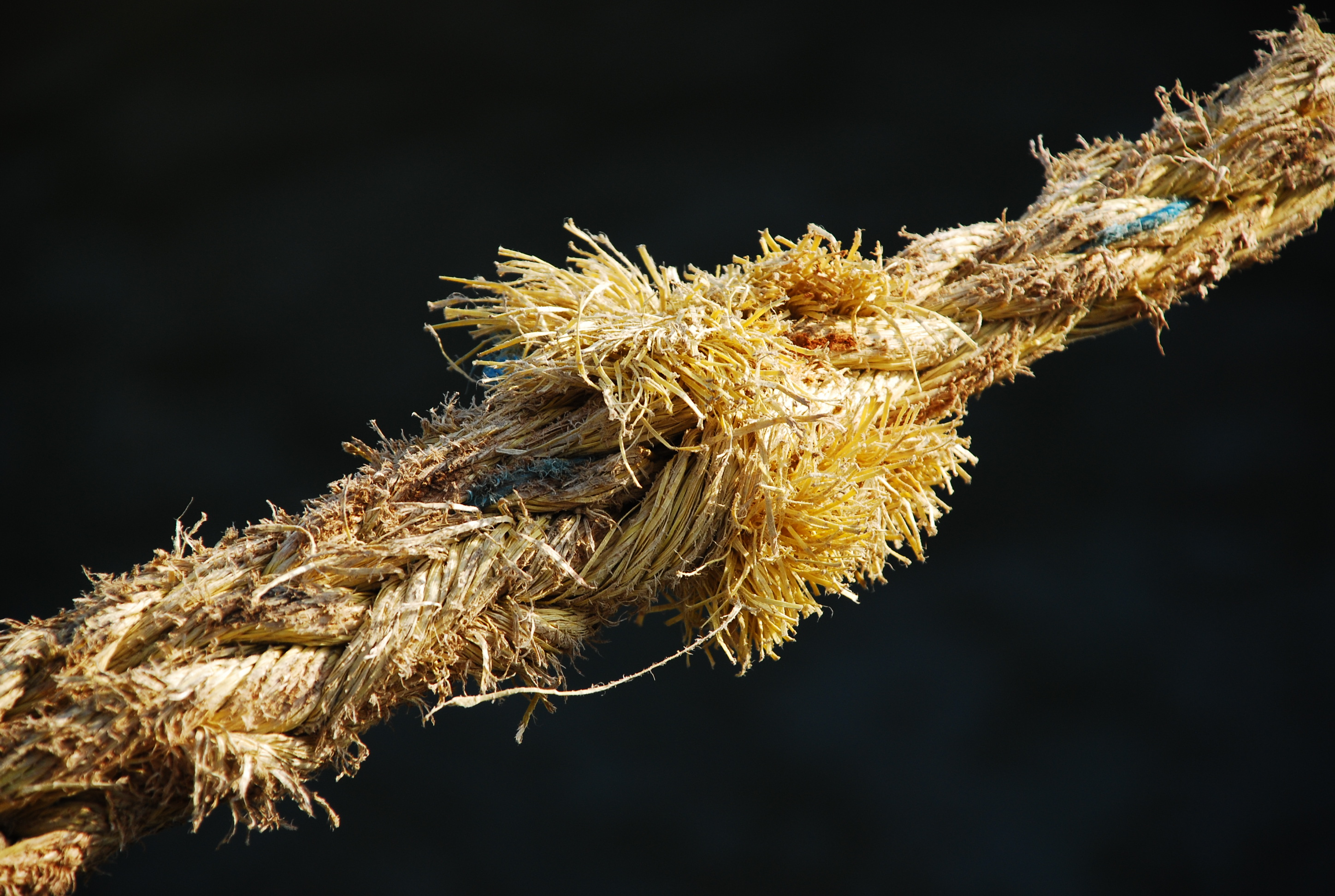 Show Me the Ropes - Lifeline