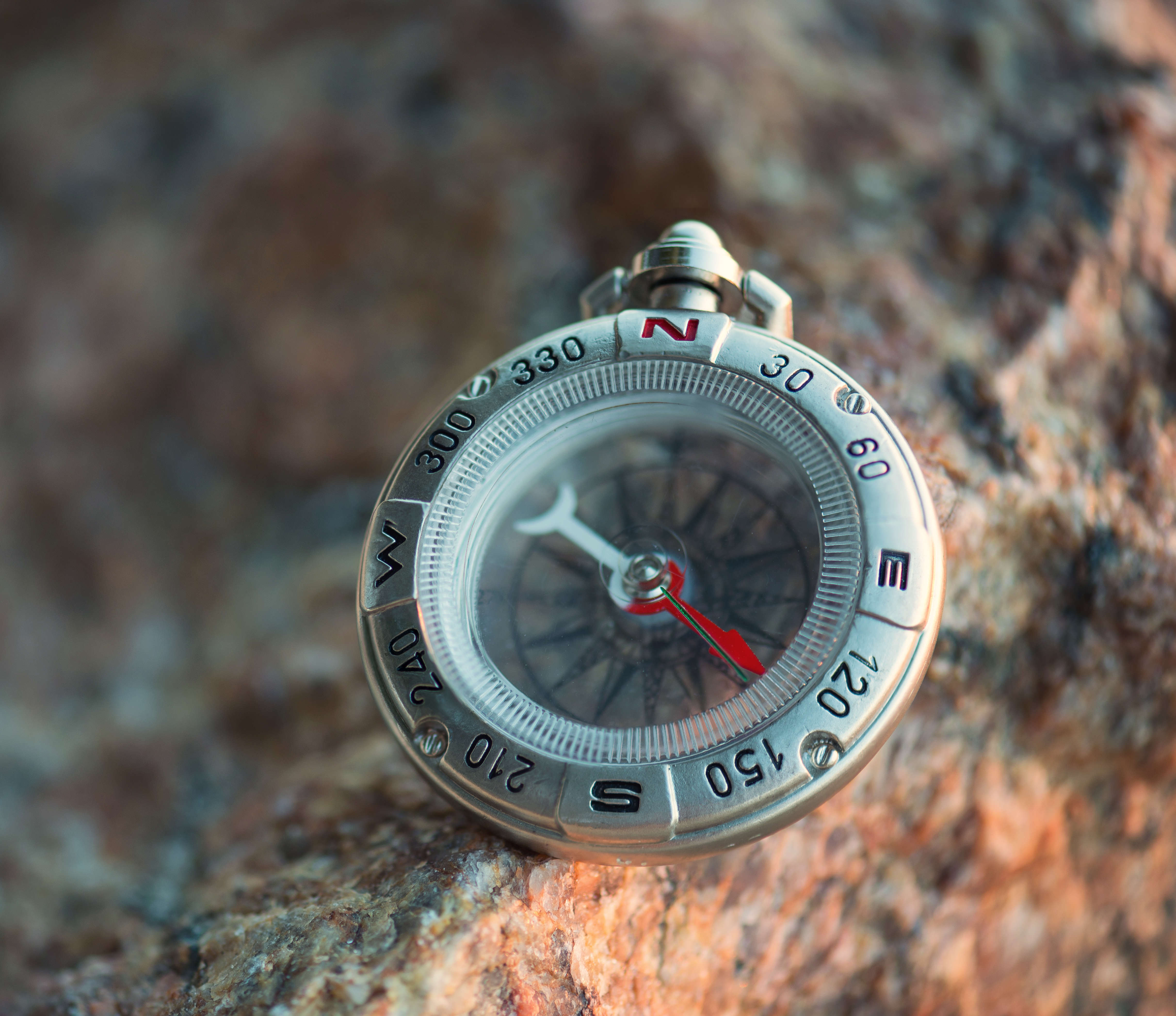 The Navigator - Lifeline