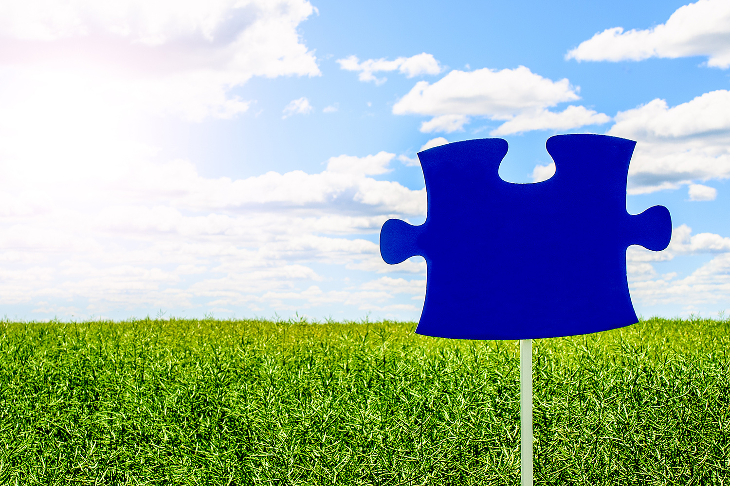 Reframing the Puzzle - Lifeline