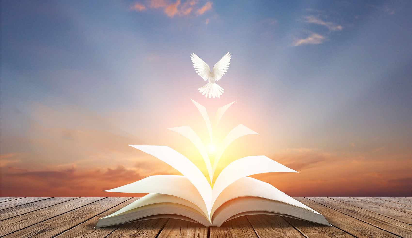 Big Transformation - Lifeline